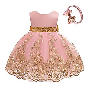 Flower Girl Dress 3-6 M Month Sleeveless Lace Embroidery Special Occasion Dress Ruffles Wedding Birthday Dresses Dressy Up Fancy Tulle Tutu Ball Gown for Infant Party Knee Sundress (8557Pink, 60)