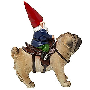 Funny Guy Mugs Garden Gnome Statue - Gnome Riding a Pug - Indoor/Outdoor Garden Gnome Sculpture for Patio, Yard or Lawn