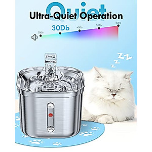 Rantizon Cat Water Fountain, 74oz/2.2L Stainless Steel Cat Fountain Water Bowl, Quiet Electric Automatic Pet Water Fountain with Silicone Mat, Water Fountain for Cats Inside for Cats Dogs Pets
