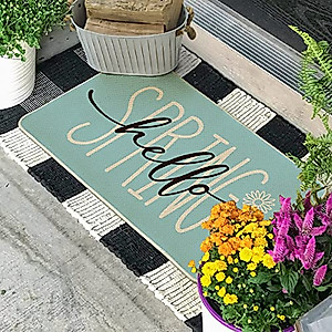 Artoid Mode Blue Hello Spring Daisy Welcome Decorative Doormat, Seasonal Low-Profile Rug Switch Mat for Indoor Outdoor 17x29 Inch