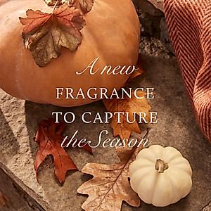 Thymes Pumpkin Laurel Votive Candle - Scented Candle for Home Fragrance - with Warm Vanilla, Spicy Cinnamon, Nutmeg, and Creamy Caramel - Single-Wick Candle (2 oz)