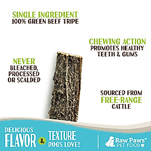 Raw Paws Green Beef Tripe Sticks for Dogs - 6-inch, 5-Pack - Packed in USA - Dried Tripe Dog Treats from Free-Range, Cows No Added Antibiotics or Hormones - Dehydrated Beef Green Tripe for Dogs