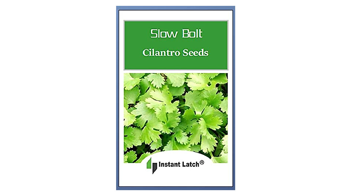 Grow Fresh Cilantro Seeds | Non-GMO & Slow Bolt Variety