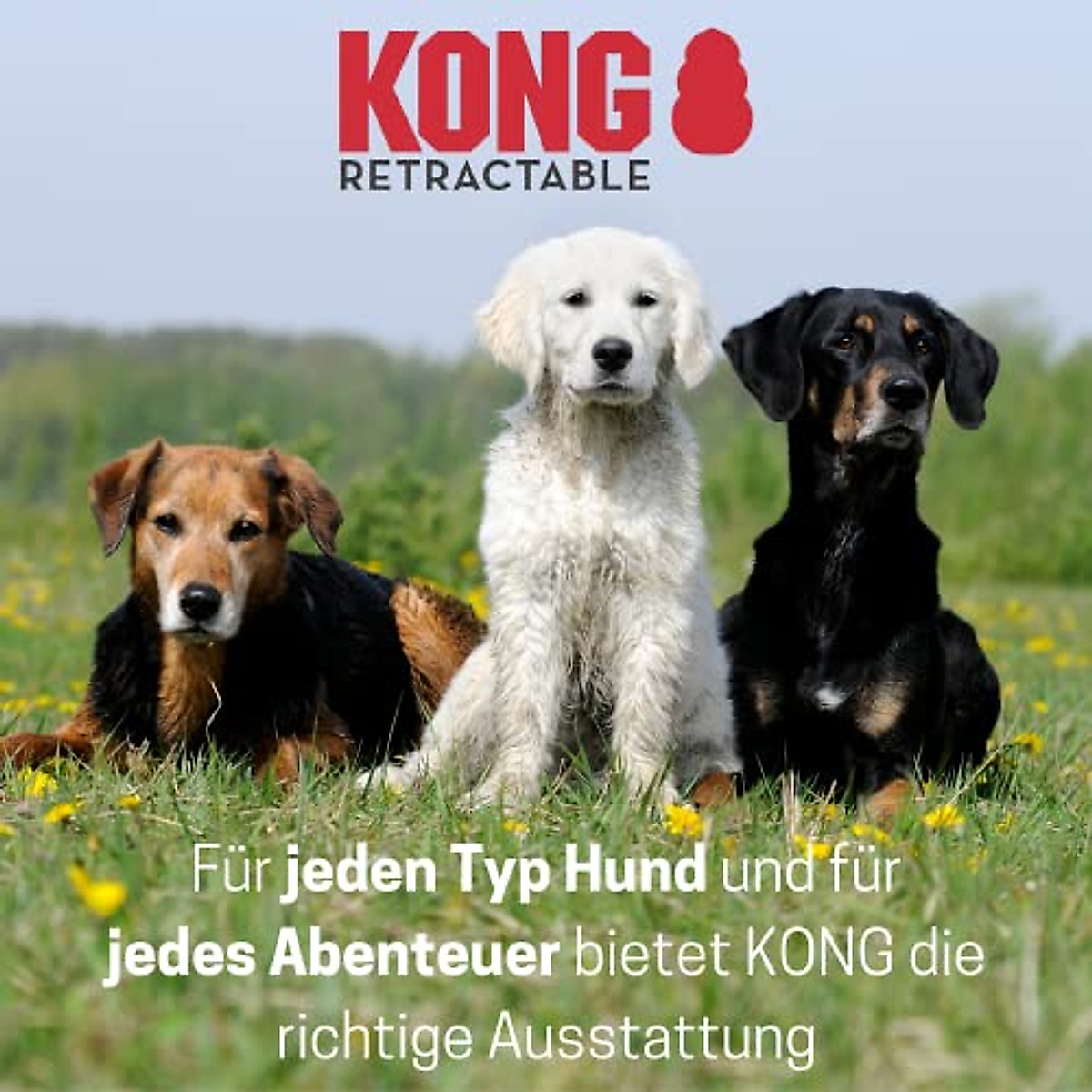 Alcott Kong Ultimate Retractable Dog Leash, Extra Large, Grey, 16' Long