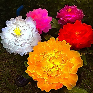 Aolyty Solar Flower Garden Lights, Single Head Solar Peony Light, Outdoor Decoration Solar Stake Lights, 2 Pack IP65 Waterproof LED Landscape Light for Pathway Walkway Patio Lawn Garden (Purple)