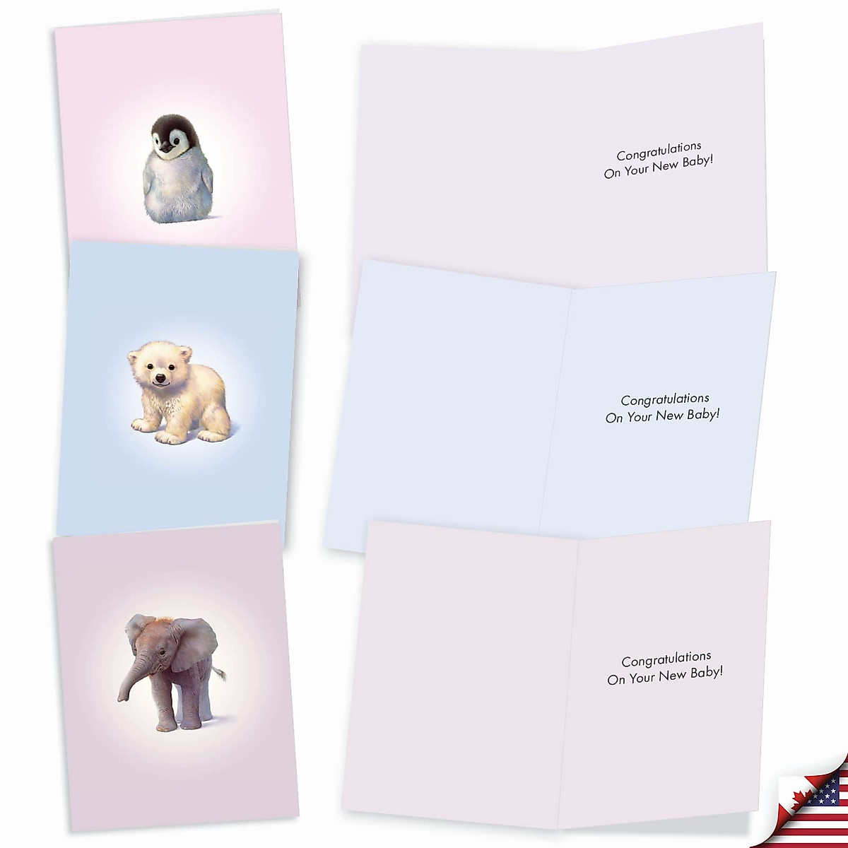 The Best Card Company 20 Assorted Baby Notecards Box Set 4 x 5.12 Inch with Envelopes (10 Designs, 2 Each) Zoo Babies AM6726BBG-B2x10