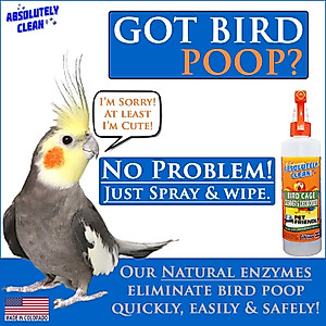 Absolutely Clean Amazing Bird Cage Cleaner and Deodorizer - Just Spray/Wipe - Safely & Easily Removes Bird Messes Quickly and Easily - Made in The US 16oz Spray (Pack of 1)