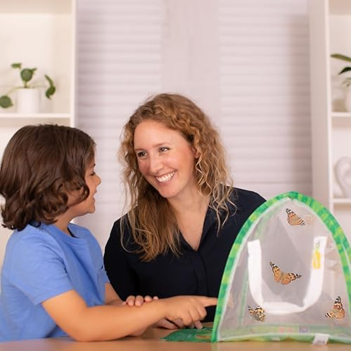 Insect Lore - Butterfly Growing Kit - Clear Front Facing Viewing Panel - Pre-Paid Voucher to Redeem Caterpillars Later – Life Science & STEM Education – Butterfly Science Kit
