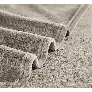 Cozy Fleece Flannel Plush Sheets Queen Size 4 Piece Bedding Set, Warm Fleece Sheets With Deep Pockets 17 inches- Ultra Soft and Cozy, Taupe
