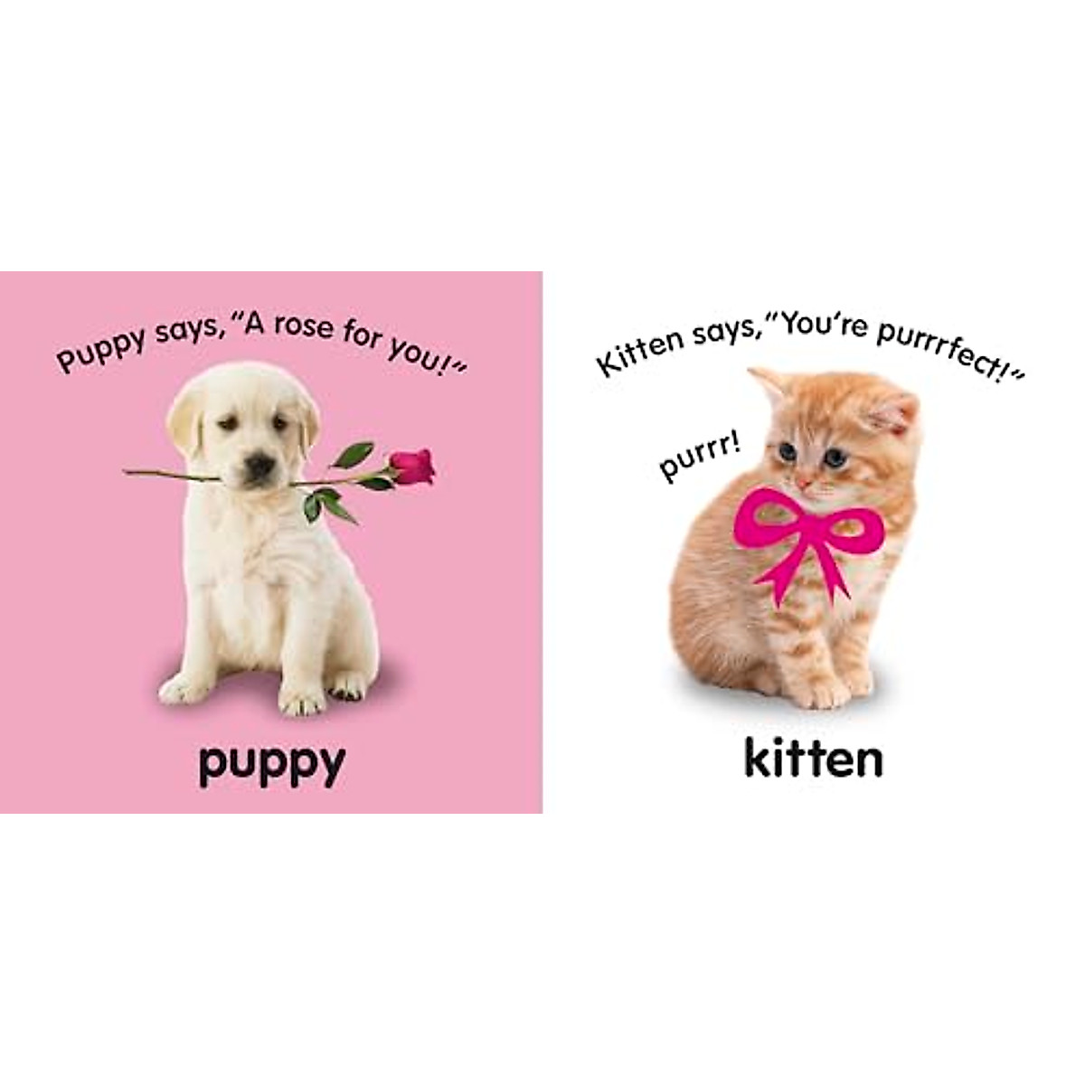 Baby Touch and Feel I Love You