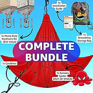 Jungle Friends Sensory Swing + 360° Swivel Hanger, Indoor | Outdoor, Double Layer Pod, Swing, Hammock, Helps Kids and Adults Sensory Disorders, ADHD, Autism, Anxiety, Therapy Chair Swing (Spider-Web)