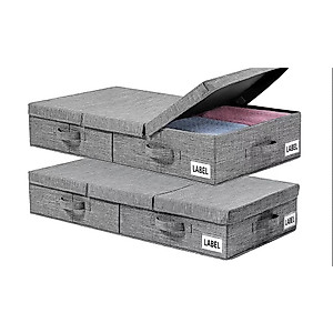 DAYARD Underbed Storage Container Bins with Lids, Under Bed Storage Organizer with Sturdy Handles Sidewalls Bottom, Foldable Clothes Bag (Set of 2) Large, Grey