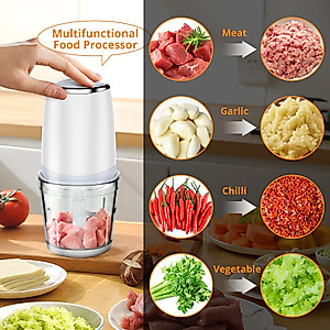 Electric Food Chopper with 2.5 Cup Glass Bowl, Mini Food Processor for Vegetables Meat Fruits Nuts Puree - 2 Speed Kitchen Food Processor With Sharp Blades, 300W