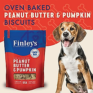 Finley's Peanut Butter & Pumpkin Dog Biscuits Treats for Dogs Made in USA | Natural Peanut Butter & Pumpkin Dog Treats | Wheat Free Dog Treats | Healthy Dog Treat Bags (12 oz)