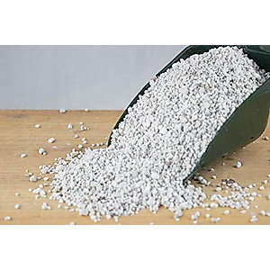 2 Gal. Perlite & Vermiculite for Seedling, Cuttings, Propagatiion, Cactus & Succulent, Bonsai Tree Soil Mix - 1 Gal. Each