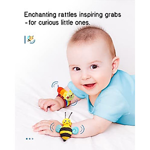 Baby Wrist Rattle Socks and Foot Finder Set, Perfect Baby Toys for 0-12 Months Newborn Boys and Girls As Baby Shower Gifts, Garden Bug Series