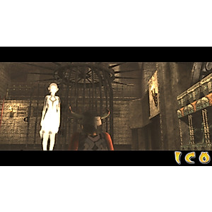 The ICO and Shadow of the Colossus Collection