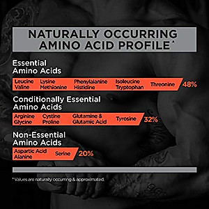 Rule 1 R1 Protein, Chocolate Fudge - 2.01 lbs Powder - 25g Whey Isolate & Hydrolysate + 6g BCAAs - 29 Servings