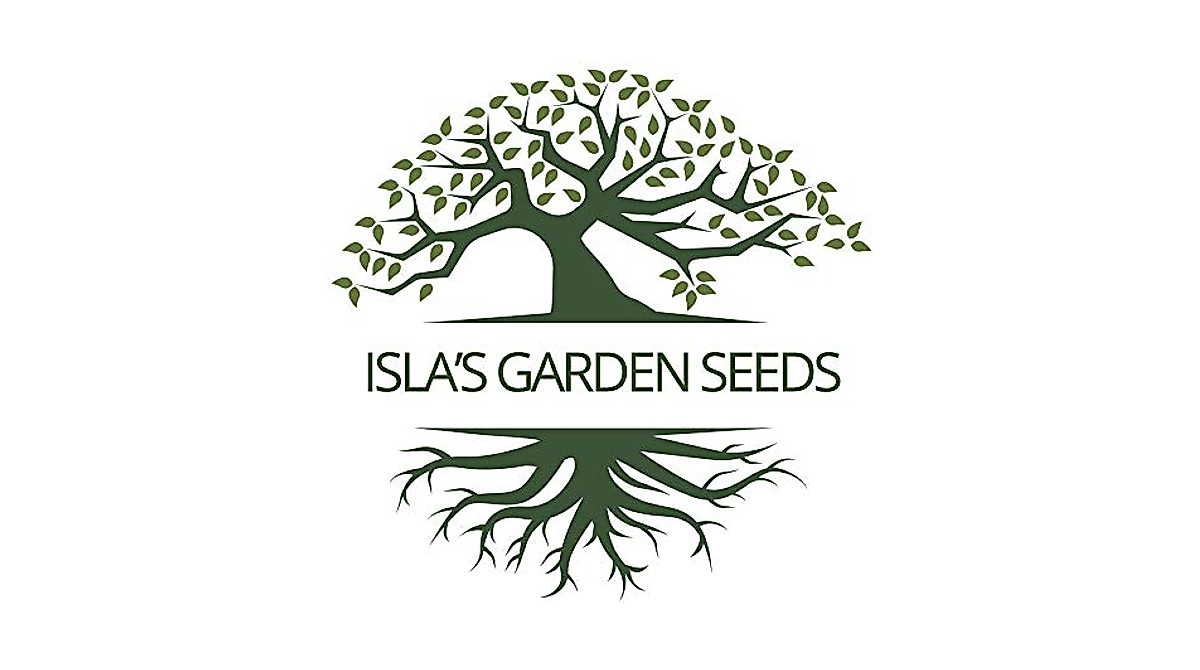 Round Zucchini Summer Squash Seeds for Planting, (Eight Ball Zucchini ...