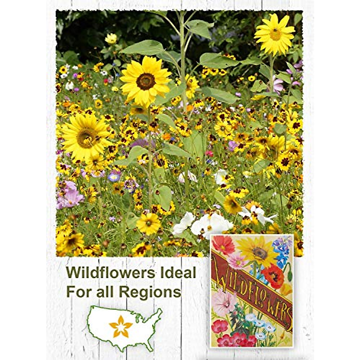 American Meadows Wildflower Seed Packets Wildflower Party Favors for All Occasions (Pack of 20) - Wildflower Seed Mix, Plant Year-Round, Great Gift for Hostesses, Showers, Weddings, Thank You