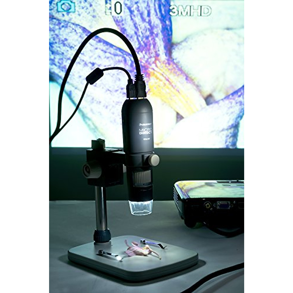 Celestron MicroDirect 1080p HD Handheld Digital Micro Viewing Digital Microscope, Grey (44316)