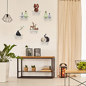 COXWANG Acrylic Small Shelf,Mini Acrylic Wall Shelf,Acrylic Shelf,for Pop Figures,Plant,Picture Photo Modern Wall for Office Bedroom Living Room