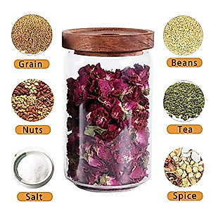 UKYLIN Glass Jar with Wood Lid, Airtight Glass Food Jar Canister, Clear Kitchen Food Storage Containers for Flour, Sugar, Coffee Beans, Candy, Snack, Cookie and More (1000ml 35 FL OZ)