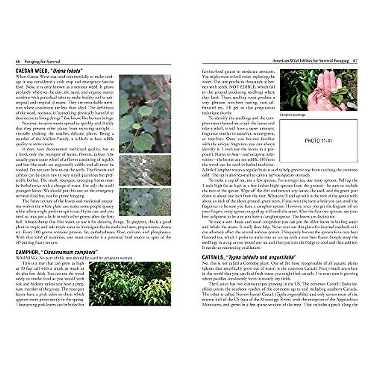 Foraging for Survival: Edible Wild Plants of North America