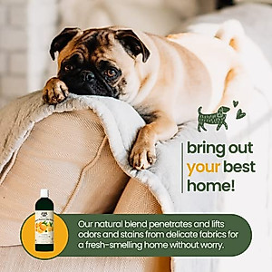 Gerrard Larriett - Natural Pet Stain & Odor Remover, Cleaning Pet Supplies with Citrus Oil Blends, All-Natural Pet Stain Remover for Furniture, Floors and Carpets, Pet and Kid-Safe, 16 oz