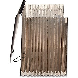 Amazon Basics Expanding Organizer File Folder, Letter Size - Black, 1-Pack