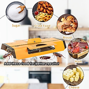 24 Pack Roach Traps Indoor Roach Killer Indoor Infestation, Cockroach Killer Indoor Home Bug Glue Trap Sticky Traps for Insects