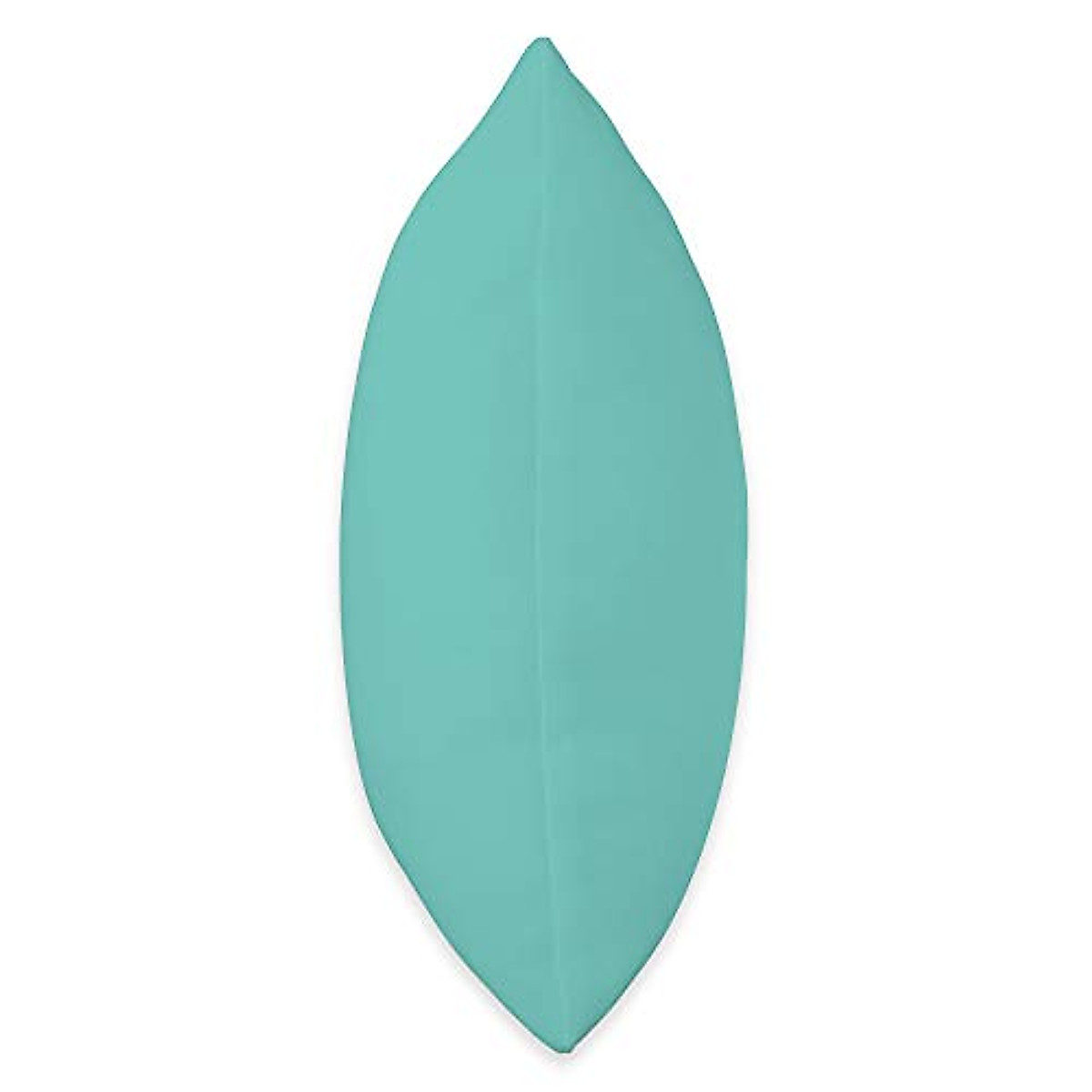 All-Homes & Lifestyles | Local Fresh Aqua Teal Blue Colored Modern Home & Living Accessory Throw Pillow, 18x18, Multicolor