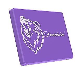 Somnambulist SSD SATAIII Hard Drive 2.5 SSD 120GB 480GB 512GB Hard Drive Internal Solid State Drive (Purple Bear Head 60GB)