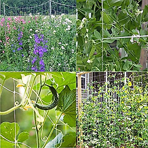 EAPFCT Trellis Netting 5x30ft 2 Pack Heavy-Duty Polyester Plant Support Trellis Net for Climbing Plants Garden Trellis Netting 6'' Mesh with Garden Ties