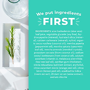 Dr. Brite Mint Natural Whitening Toothpaste with Activated Coconut Charcoal and VIT C, Mint, 5 Ounce (TRTAZ11A)