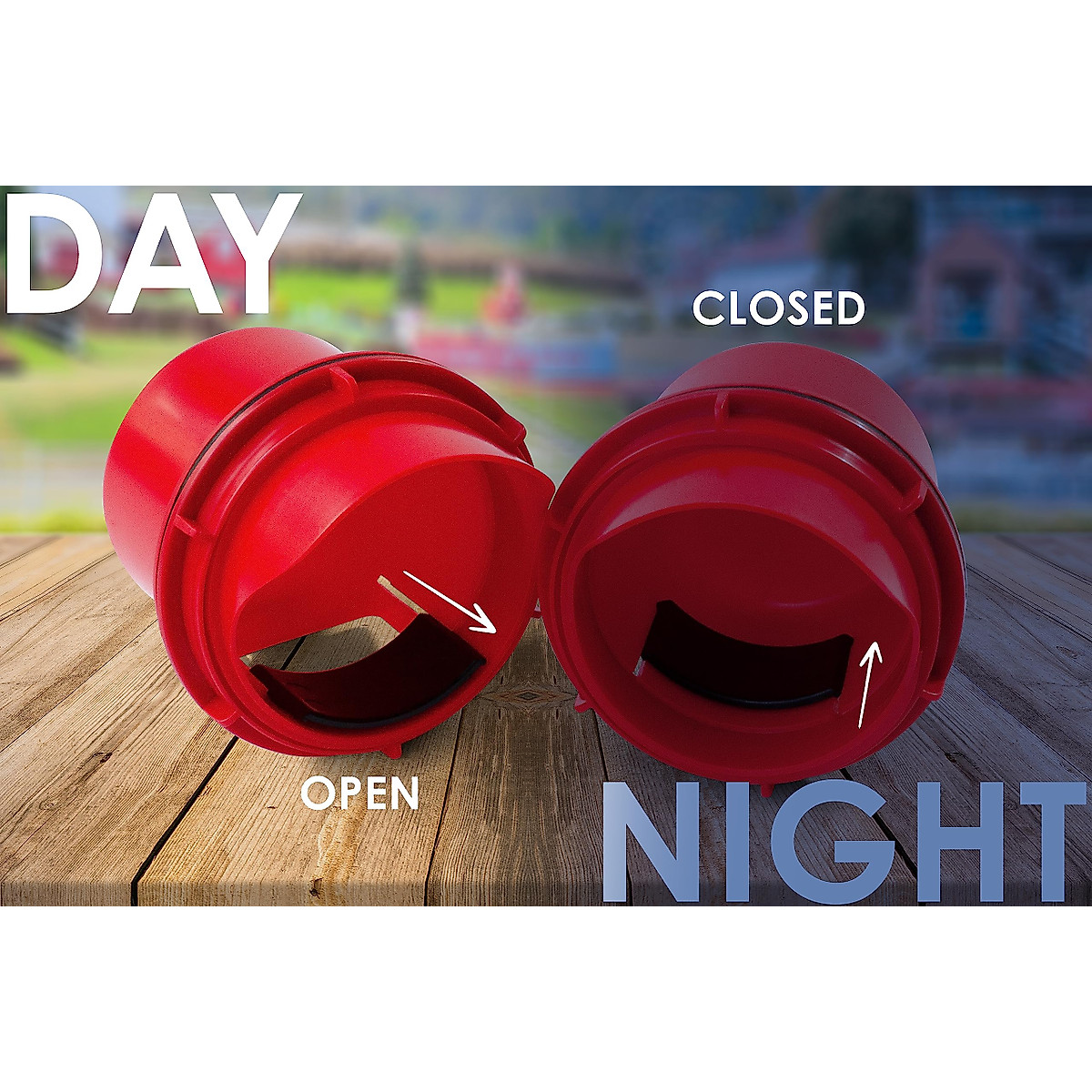 RentACoop Chick2Chicken 10lb BPA-Free 4-Port Feeder - Includes Anti-Roost Cone, Slider Port Cover, and Lid - Suitable for up to 20 Chicks & 12 Adult Chickens