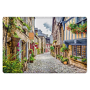 LB Italian Bathroom Rug Mediterranean House Green Plant Red Flower Bath Mat European Stone Street Doormat Non Slip Memory Foam Super Absorbent Floor Mats,24x16 Inch