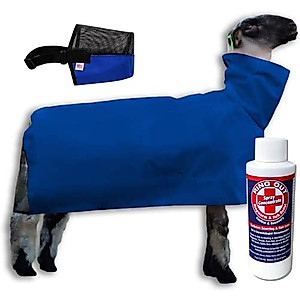 Show Pro Blue Nylon Sheep Blanket with Mesh Butt for Show Sheep & Lamb - Livestock Supplies for Sheep Cover. Free Ring Out Concentrate for Proven Ringworm & Fungus Prevention Included (Medium)