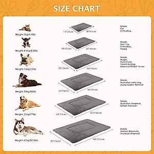 Vetasac Reversible Dog Bed Mat with Plush and Corn Velvet,Soft Warm Pet Cushion, Dual Purpose Washable Sleeping Mattress Bed for Small Medium Large Dog and Cat XB004 (24"x18", Light Grey)