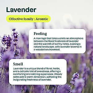 ATTITUDE Natural Liquid Laundry Detergent, Plant and Mineral-Based Efficient Formula, Hypoallergenic, HE, Vegan & Cruelty-Free, Lavender, 40 Loads, 67.6 Fl Oz