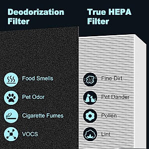 HPA300 HEPA Filter Replacement for Honeywell Air Purifiers HPA300 Series, HPA300, HPA304, HPA8350, HPA300VP, HPA3300b, HPA5300, Replace HRF-R3, 6 HEPA R and 8 Pre Filters A HRF-AP1