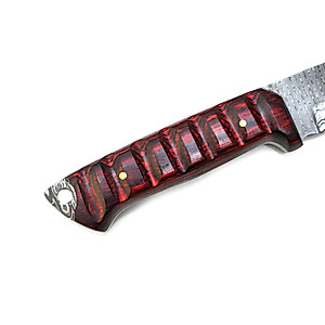 Titan International Knives Diver High & Low Carbon Damascus Steel Hunting Gear Survival Tanto Point EDC Tactical Blade Cherry Wood Handle with Leather Sheath Perfect for Camping Fishing (TD-275)