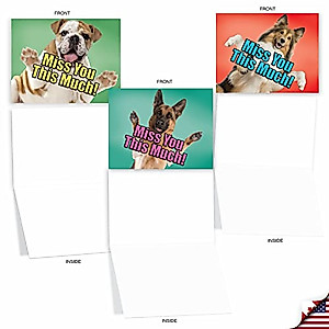 The Best Card Company - 10 Blank Assorted Notecards w/Envelopes (4 x 5.12 Inch) - Boxed Greetings with Dogs, Thinking of You Sentiments - Pet Puppies, Animal - Dog Miss You This Much M6600MYB
