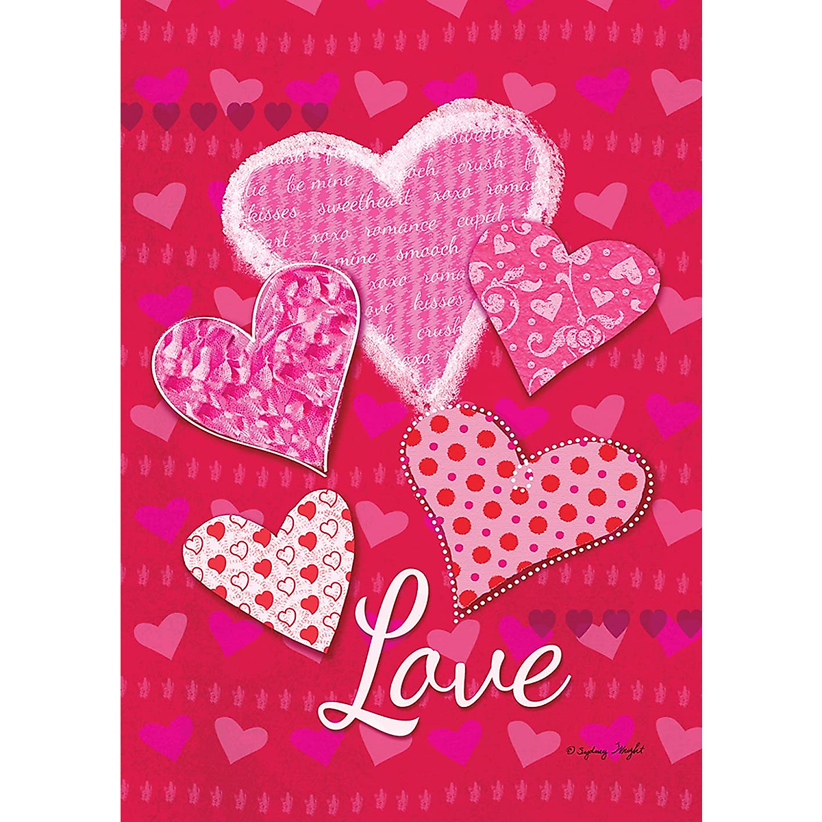 Toland Home Garden 1010058 Whole Lotta Love Valentine Flag 28x40 Inch Double Sided Valentine Garden Flag for Outdoor House Valentines Day Flag Yard Decoration