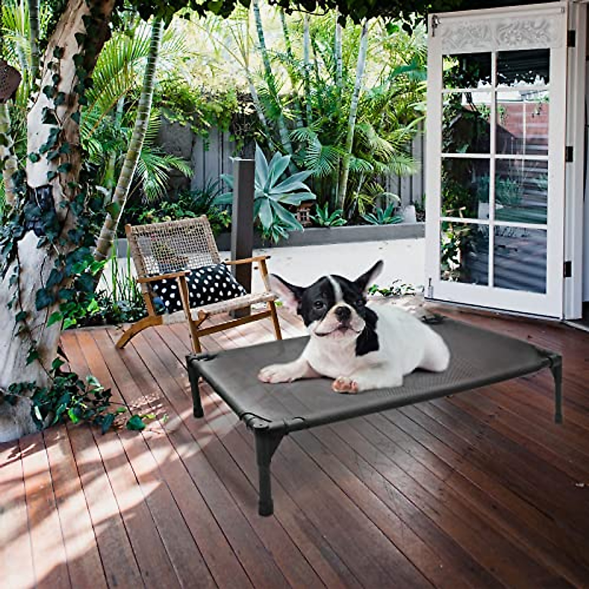 NBVAIGJ Elevated Dog Bed for Medium - Portable Raised Dog Bed Outdoor & Indoor 32x25x8in for Camping or Beach Washable Dog Bed,Durable Chew Proof Dog Hammock Bed with Breathable Mesh,Black