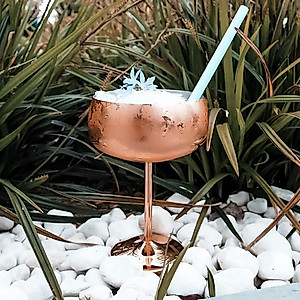 WSNM Copper Coupe Champagne Glasses Set of 2 Steel Vintage Martini Glass Wine Goblet