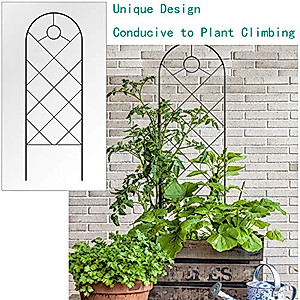 3 Pcs Garden Trellis for Climbing Plants Indoor, 23" x 7.7" Rust Proof Metal Support Wire with Decorative Lattice Grid Panels for Garden Indoor Potted Climbing Stems Stalks Vines