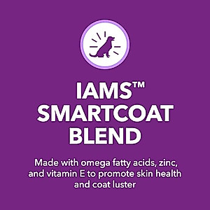 Iams Advanced Health Skin & Coat Adult Dry Dog Food Chicken and Salmon Recipe, 6 lb. Bag
