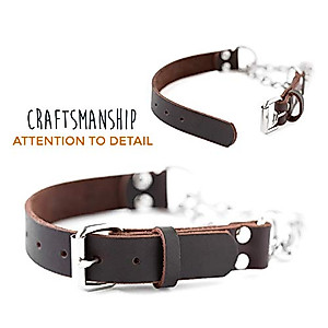 Mighty Paw Leather Martingale Dog Collar | Premium No Pull Dog Collar Martingale Collar for Dogs, Stainless Steel Chain, Limited Chain Cinch Training Collar. for Large, Medium and Small Dogs (Brown)