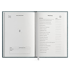 The Pregnancy Journal for Expecting Moms: Beautiful and Modern Pregnancy Planner, Organizer and Memory Book Album for Mom and Baby - Pregnancy and Baby Journals for First Time Moms